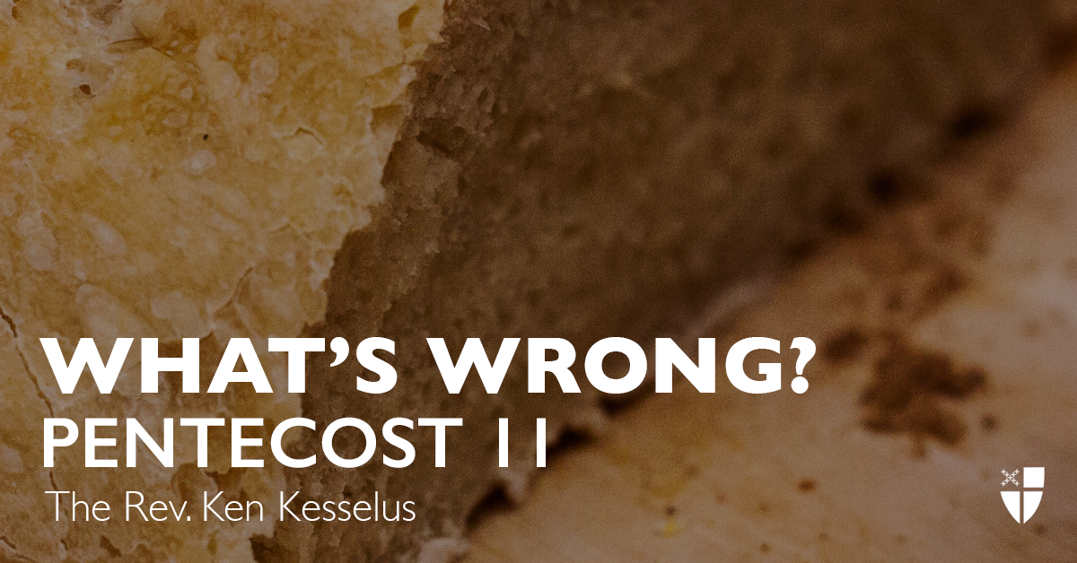 What's Wrong?, Proper 15 (A) - 2020 – The Episcopal Church