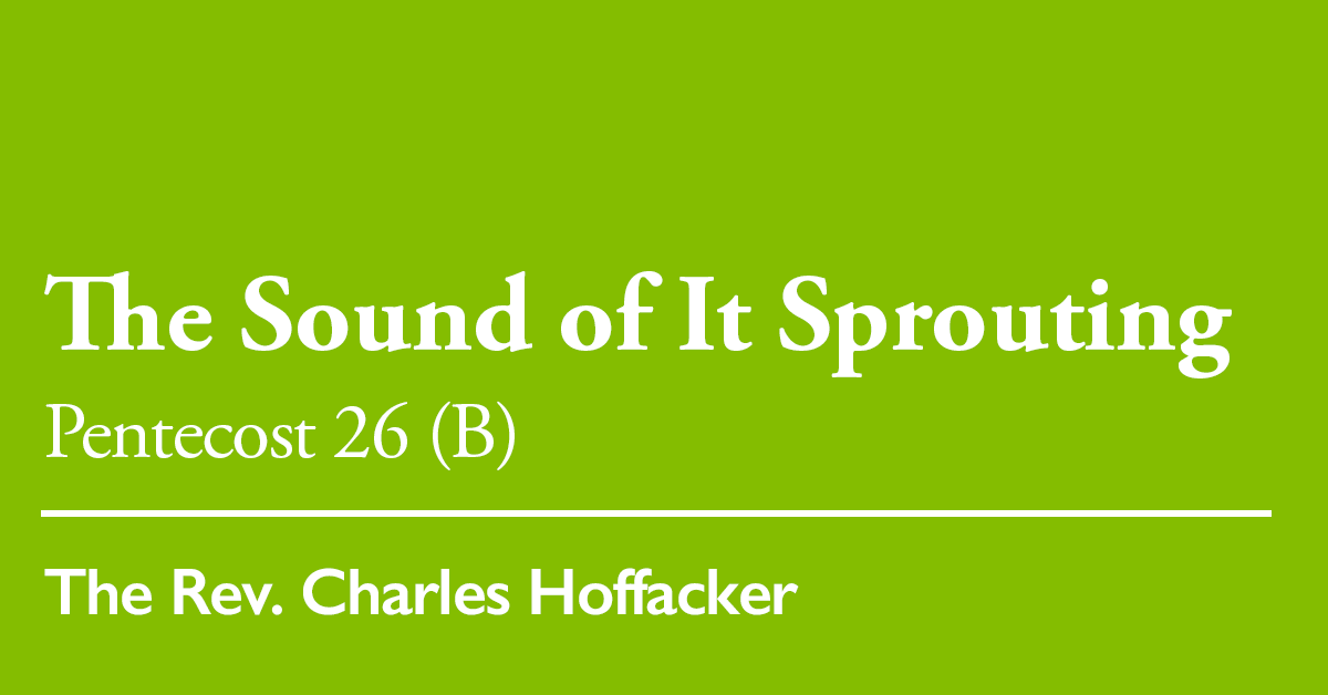 The Sound of It Sprouting, Proper 28 (B) – 2024 – The Episcopal Church